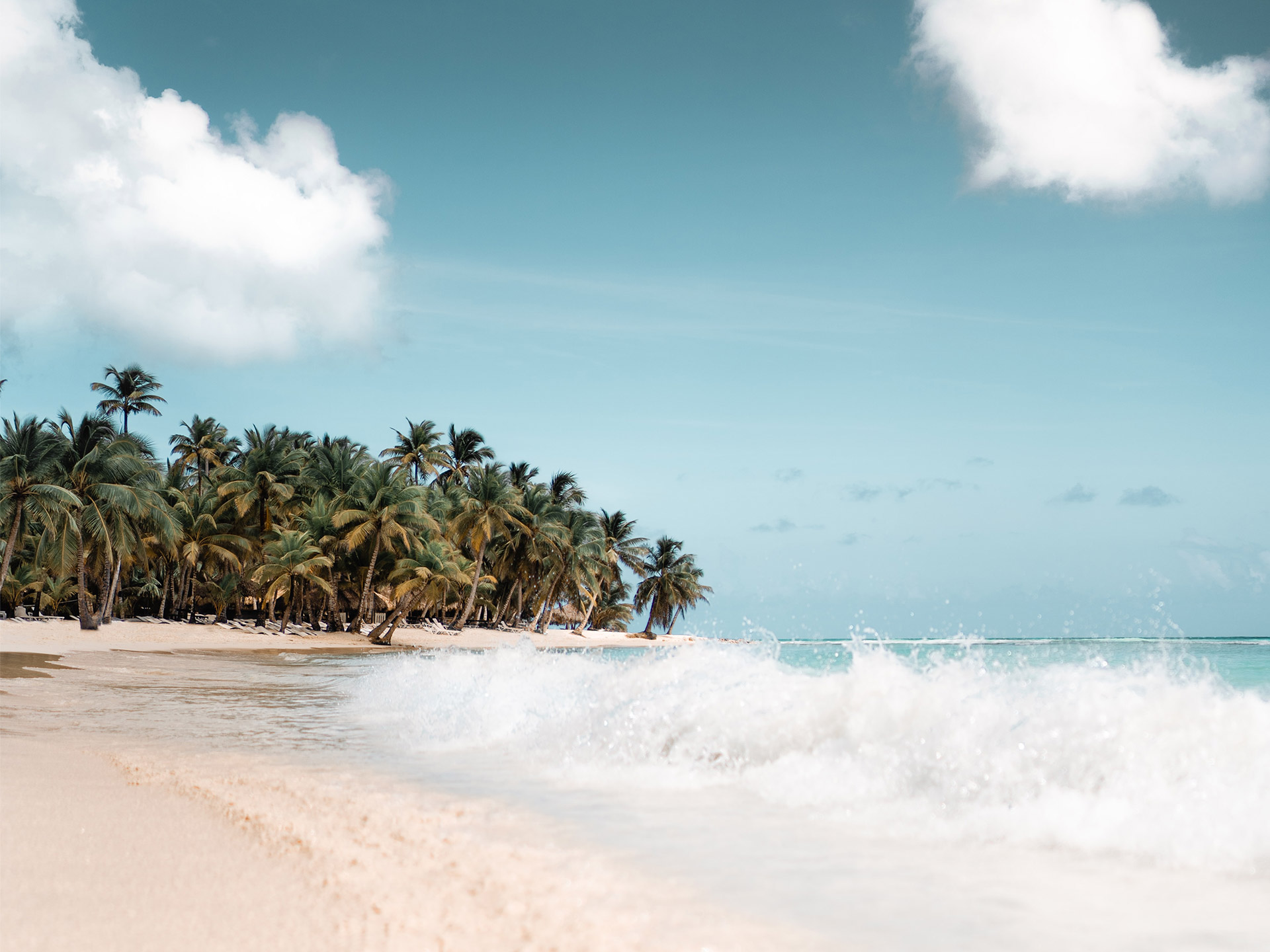 Sea Island Collection – Spoerry